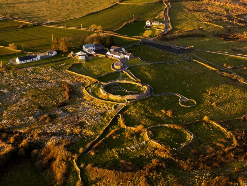 Caherconnell Sheepdogs And Stone Fort I Visit Clare