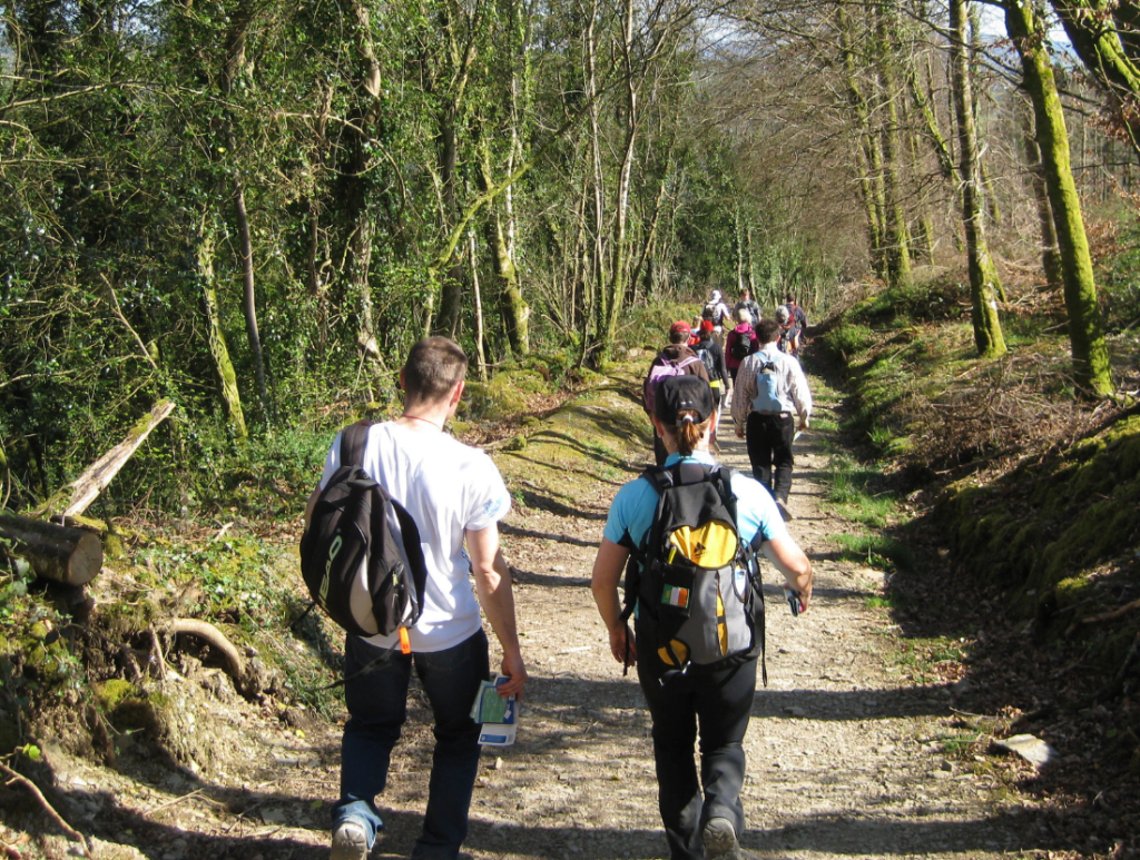 Clare Walks Ltd. | Visit Clare