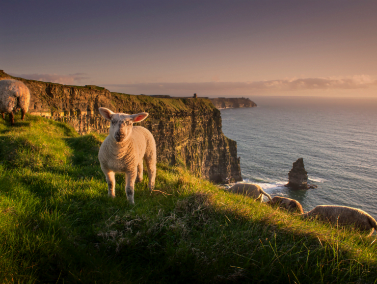 Visit The Cliffs Of Moher Experience | Visit Clare