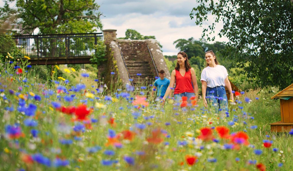 Springtime In Ireland - Things To Do | County Clare, Ireland