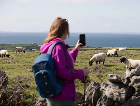 Walking Trails Archives | County Clare, Ireland