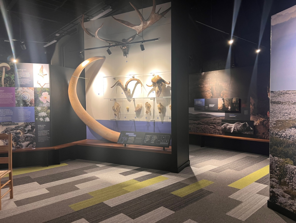 The Burren Visitor Centre | Visit Clare