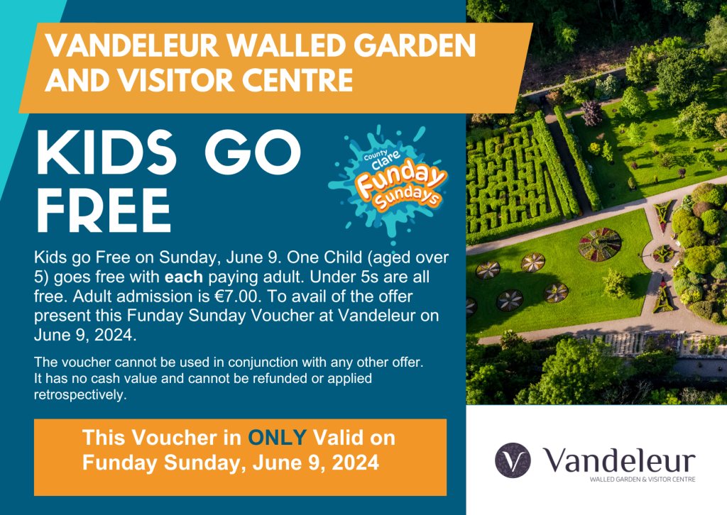 Funday Sundays | County Clare, Ireland