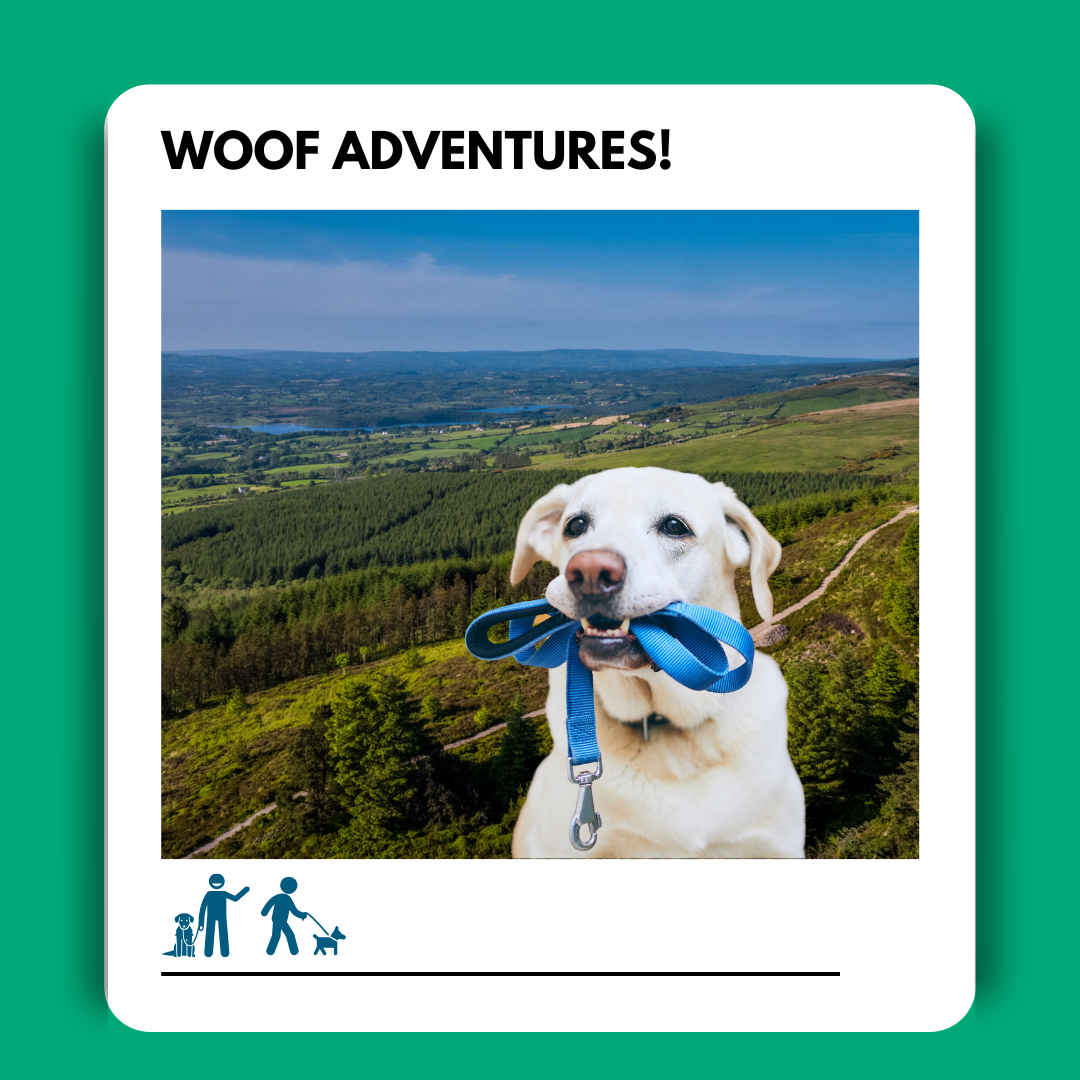 Walk | County Clare, Ireland